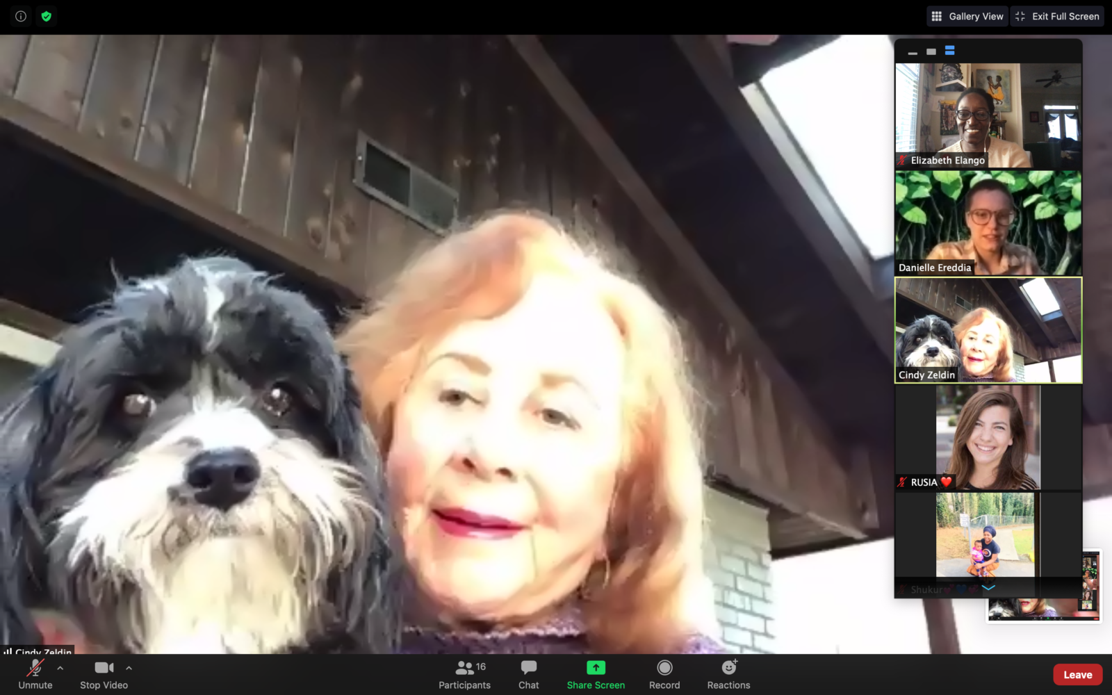 Lily Tova, Therapy Dog, Visits Virtual GVP to Read with Students ...